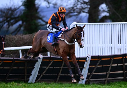 Forever Des Long Ridden By Jack Editorial Stock Photo - Stock Image ...