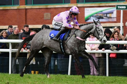 Magical Maggie Ridden By Jay Tidball Editorial Stock Photo - Stock ...