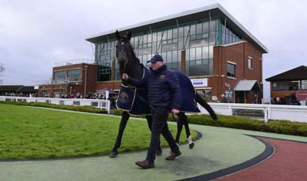 Alne Park Stud Parade Ocovango Taunton Editorial Stock Photo - Stock Image | Shutterstock