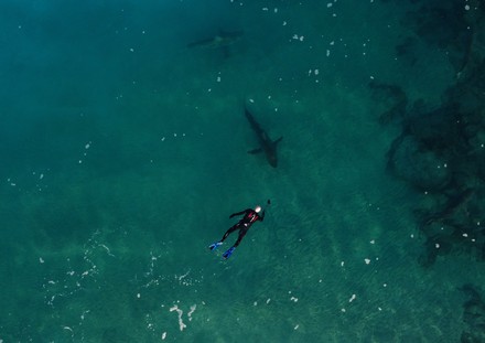 Picture Taken Drone Shows Free Diver Editorial Stock Photo - Stock ...