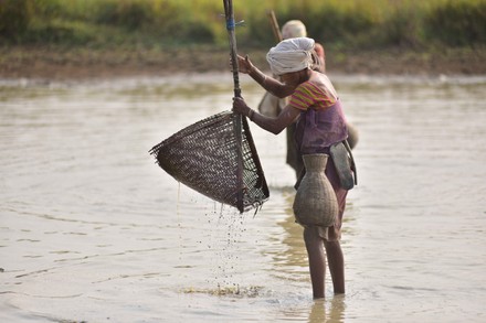 Women Catching Fish Field Traditional Fishing Editorial Stock Photo ...
