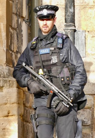 Metropolitan Armed Police On Guard Outside Editorial Stock Photo ...