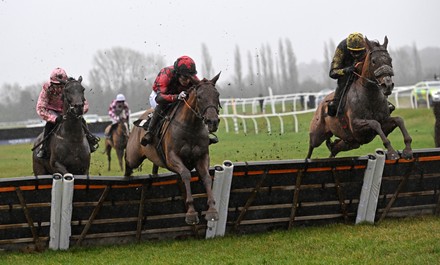 newbury races Stock Photos (Exclusive) | Shutterstock