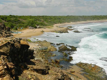 Bundala National Park Ramsar Site Where Editorial Stock Photo - Stock ...