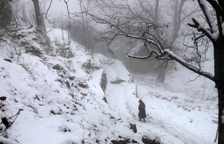 Woman Walks On Snowcovered Hilly Way Editorial Stock Photo - Stock ...