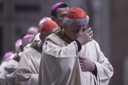 Cardinal Konrad Krajewski Attends Mass Pope Editorial Stock Photo ...