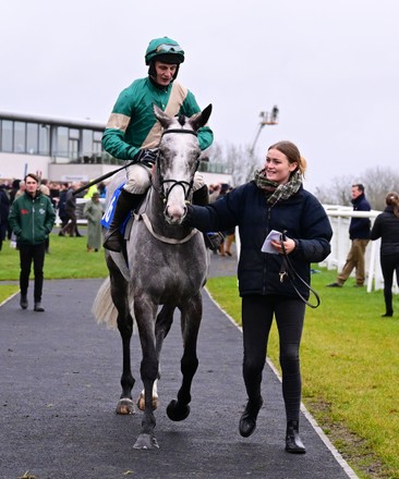 exeter races Stock Photos (Exclusive) | Shutterstock