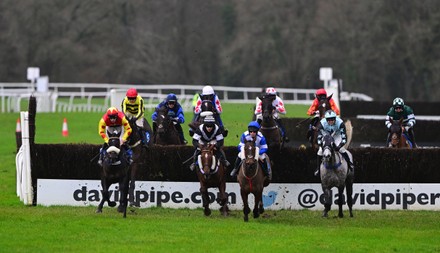 exeter races Stock Photos (Exclusive) | Shutterstock