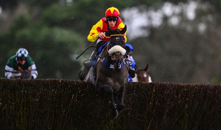 exeter races Stock Photos (Exclusive) | Shutterstock