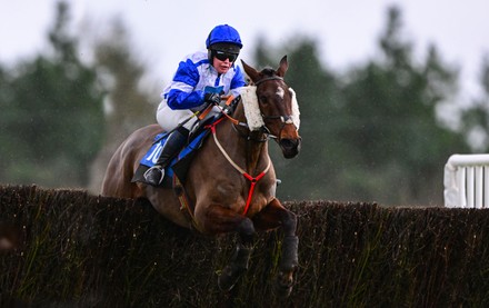exeter races Stock Photos (Exclusive) | Shutterstock