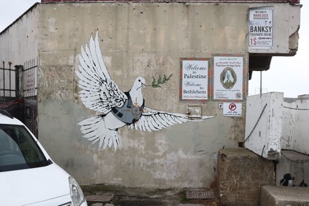 65 Dove mural Stock Pictures, Editorial Images and Stock Photos ...