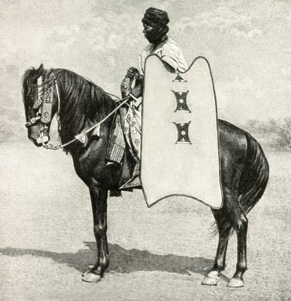 Horse Rider Large Oryx Hide Shield Editorial Stock Photo - Stock Image ...
