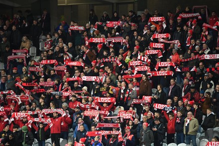 Losc Supporters Editorial Stock Photo - Stock Image | Shutterstock