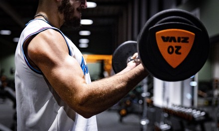 250 Basic fit Stock Pictures, Editorial Images and Stock Photos ...
