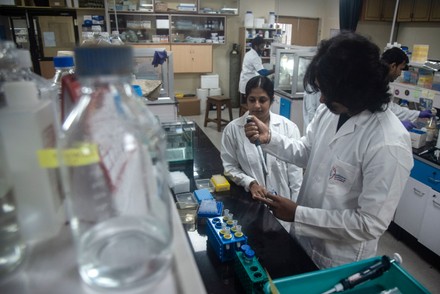 Researchers Indian Institute Technology Iit Madras Editorial Stock ...
