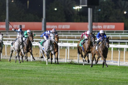 Al Suhail Gb Ridden By James Editorial Stock Photo - Stock Image ...
