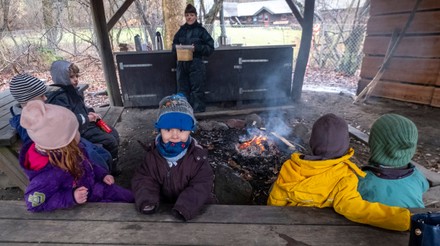 Danish Forest School Children Stenurten Kindergarten Editorial Stock ...