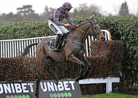 David Maxwell Amateur Jockey Editorial Stock Photo - Stock Image ...