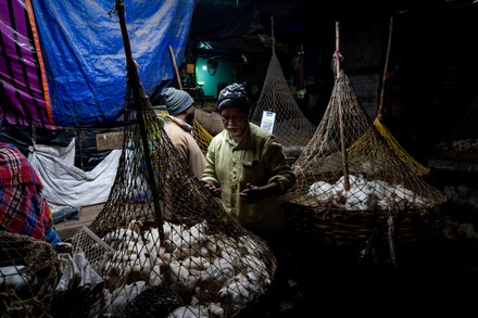 Vendors Meat Market Sort Live Chickens Editorial Stock Photo - Stock ...
