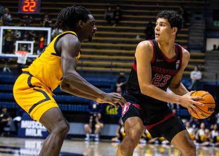 Berkeley Ca Usa Stanford Forward Brandon Editorial Stock Photo - Stock ...