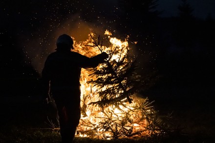 Firefighter Throws Villagers Christmas Trees On Editorial Stock Photo ...
