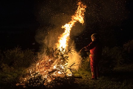 Firefighter Throws Villagers Christmas Trees On Editorial Stock Photo ...