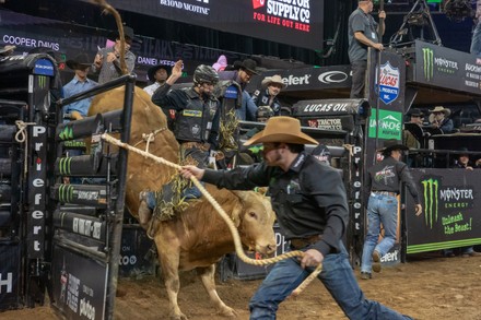 Derek Kolbaba Rides Salty Brindle During Editorial Stock Photo - Stock ...