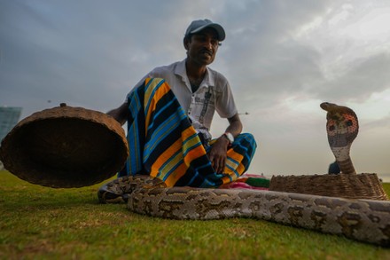 Sri Lankan Snake Charmer Performs Crowds Editorial Stock Photo - Stock ...