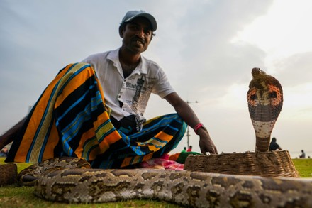 Sri Lankan Snake Charmer Performs Crowds Editorial Stock Photo - Stock ...