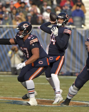 Chicago Bears Quarterback Nathan Peterman 14 Editorial Stock Photo ...