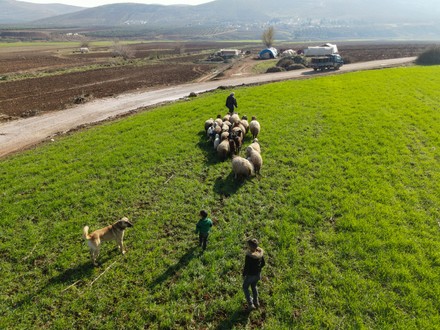 Tour Green Fields Countryside Aleppo Syria Editorial Stock Photo ...