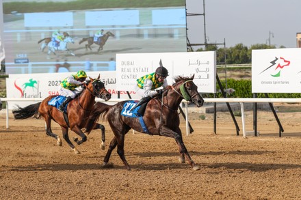 Zajer Al Wathba Ae Ridden By Editorial Stock Photo - Stock Image ...