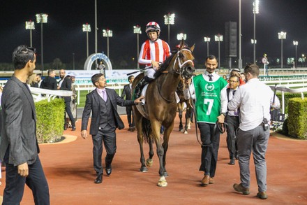 Al Nayyir Gb Ridden By Pat Editorial Stock Photo - Stock Image ...