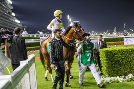 horse racing dubai Stock Photos (Exclusive) | Shutterstock