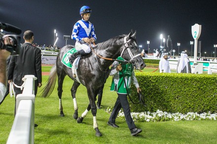 Sari Dubai Usa Ridden By Pat Editorial Stock Photo - Stock Image ...