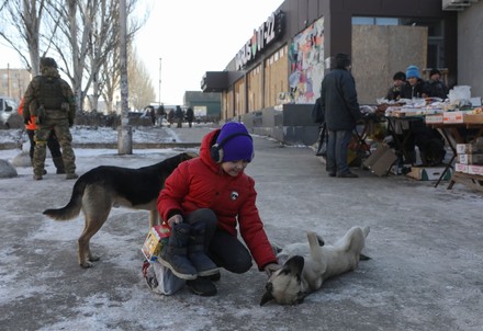 Local Girl Pets Dog Street Bakhmut Editorial Stock Photo - Stock Image ...