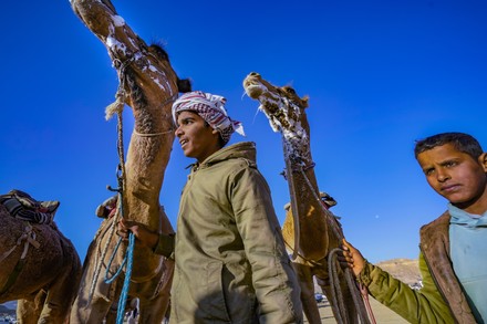 2 Wadi zalaga valley Stock Pictures, Editorial Images and Stock Photos ...
