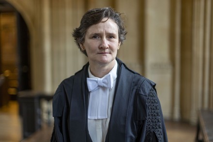 Professor Irene Tracey Cbe Her Installation Editorial Stock Photo ...