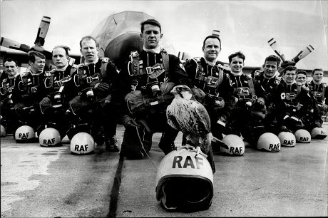Raf Falcons Freefall Parachute Team Their Editorial Stock Photo - Stock ...