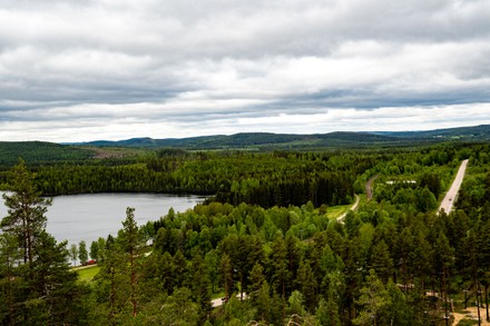 View Traditional Swedish Landscape Forests Big Editorial Stock Photo ...