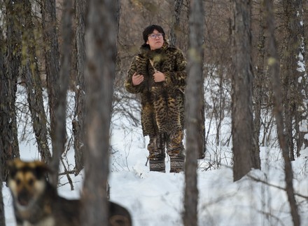 Juele Looks His Reindeer Jinhe Forest Editorial Stock Photo - Stock ...