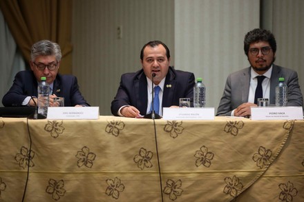 Vice President Interamerican Commission On Human Editorial Stock Photo ...