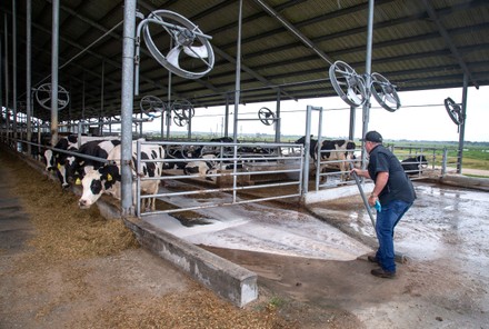 Farmer Sutton Rucks Opens Drain One Editorial Stock Photo - Stock Image ...