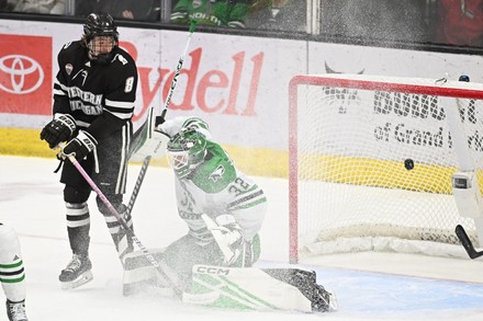 North Dakota Fighting Hawks Goaltender Jakob Editorial Stock Photo - Stock Image | Shutterstock