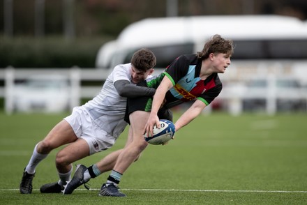 Kit Temperley Harlequins U18 Walks Down Editorial Stock Photo - Stock ...