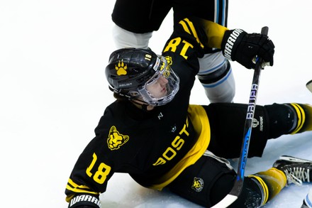 36 Buffalo beauts Stock Pictures, Editorial Images and Stock Photos ...