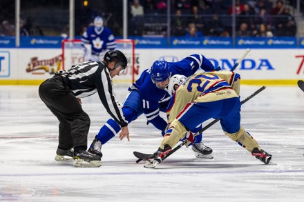 Rochester Americans Forward Mason Jobst 26 Editorial Stock Photo ...