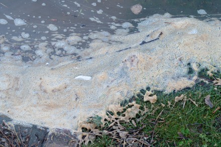 Disgusting Sight Raw Sewage On River Editorial Stock Photo - Stock ...