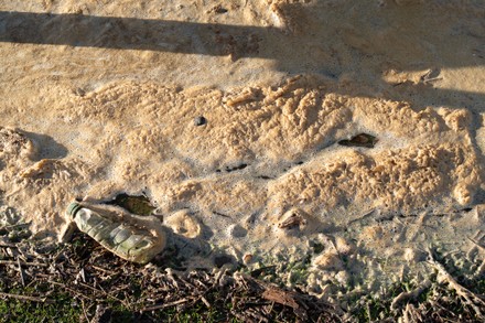 Disgusting Sight Raw Sewage On River Editorial Stock Photo - Stock ...