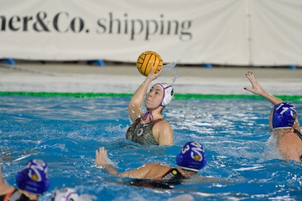 2,000 Women waterpolo Stock Pictures, Editorial Images and Stock Photos ...